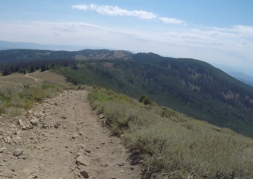 Daniels Summit / Strawberry Ridge - ATVTrailsInUtah.com