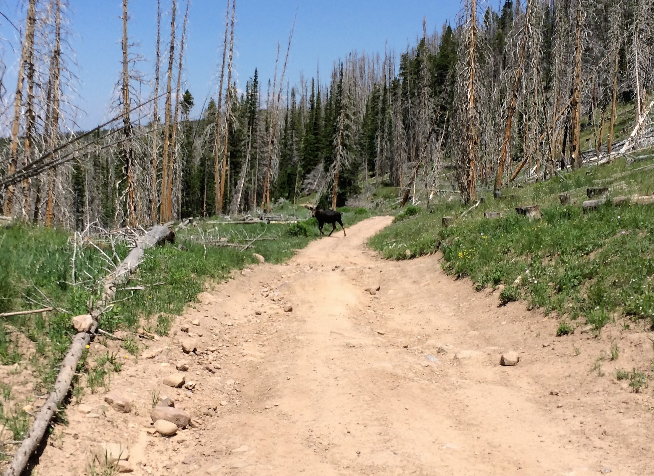 Elizabeth Pass POI 5B | ATVTrailsInUtah.com